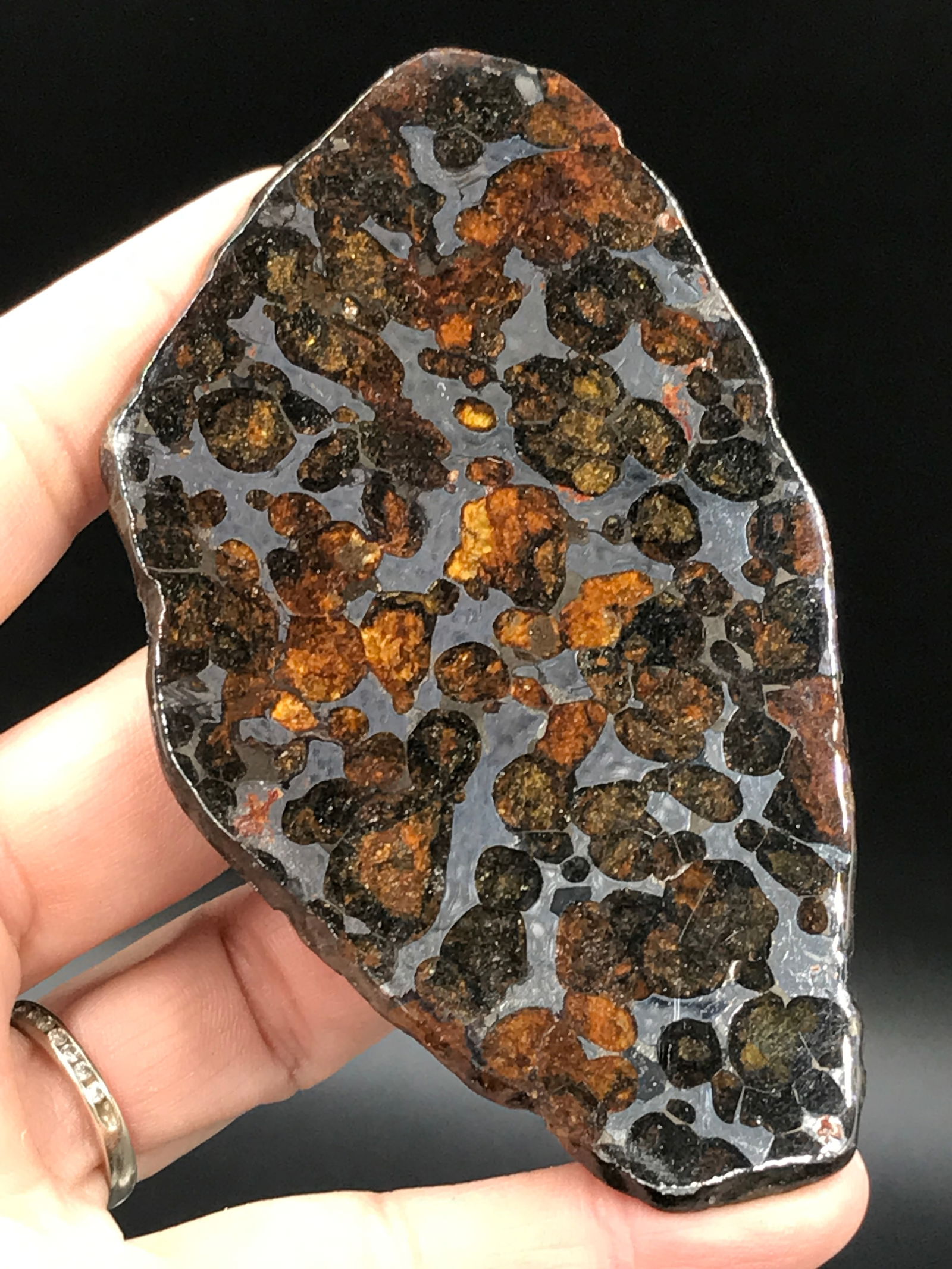 Meteorite, Rock, Crystal, Natural, Collectible, Outerspace, Slab Auction