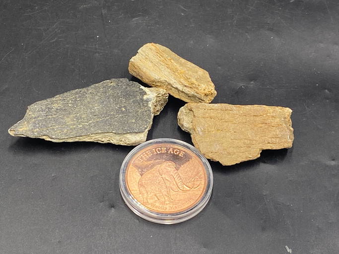 Mammoth, Fossil, Natural, Collectible, Specimen, Bone, Coin, Copper