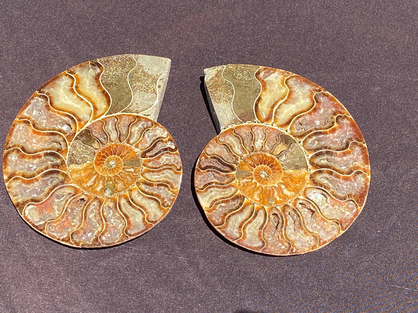 Collectible Rocks, Minerals & Fossils for Sale at Auction - Page 21