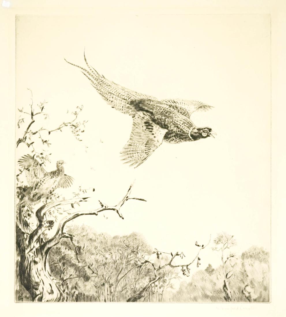 Winifred Marie Austen (1876-1964)