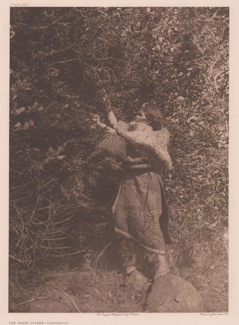Edward Curtis Photogravure The Berry Picker