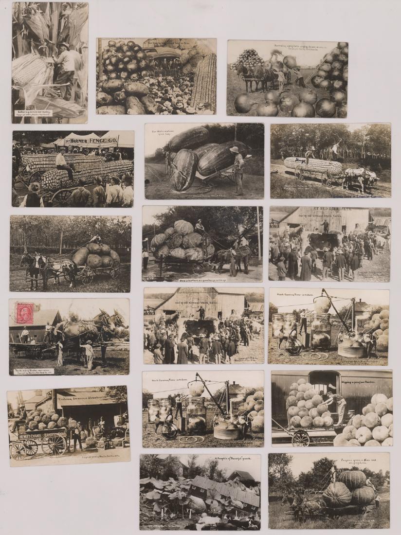 Collection of Martin Exaggeration Postcards (17)