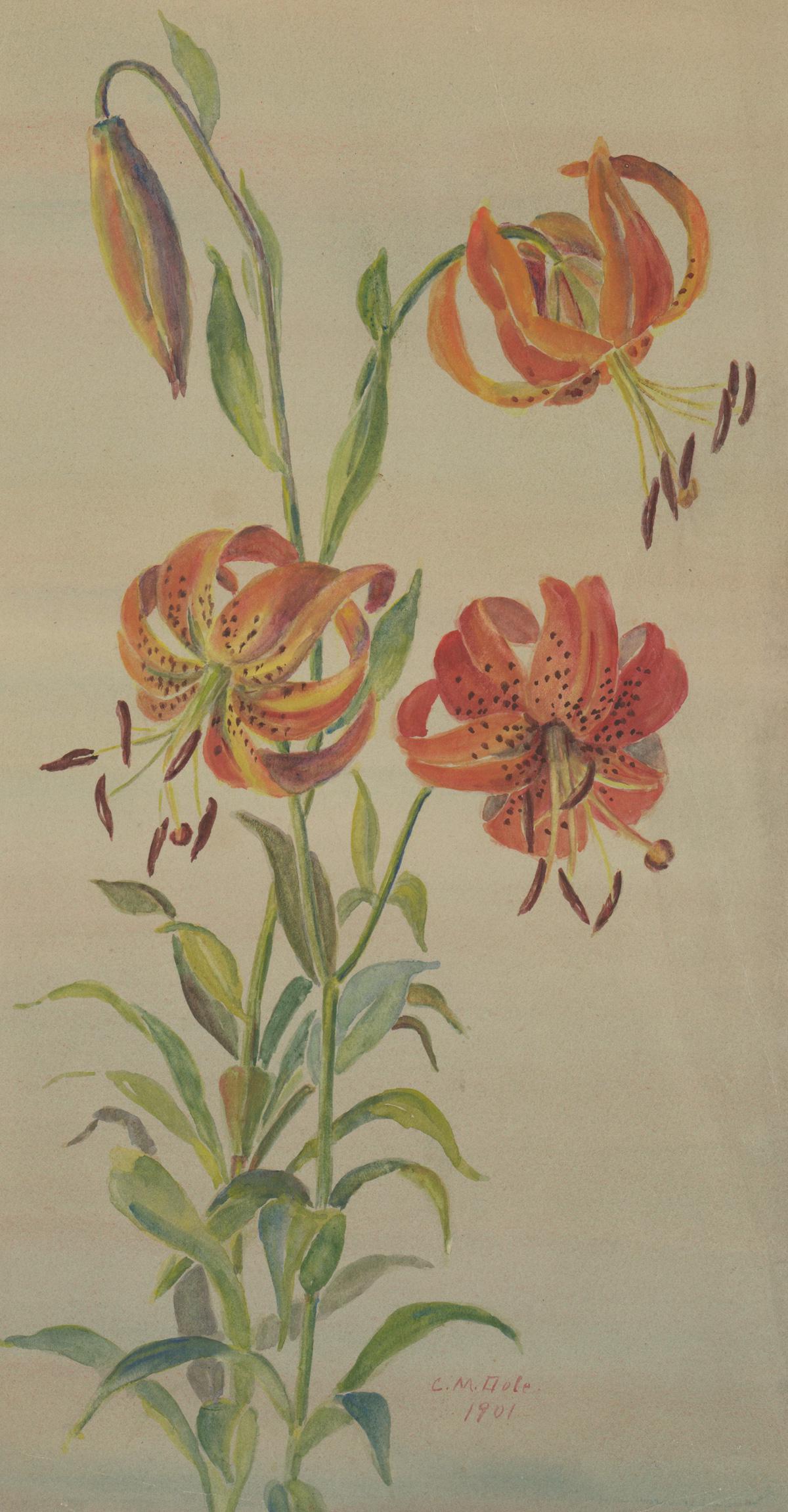 Clara Maria Rowell Dole (Hawaii 1847 - 1916) - Mar 26, 2020 | Grant ...