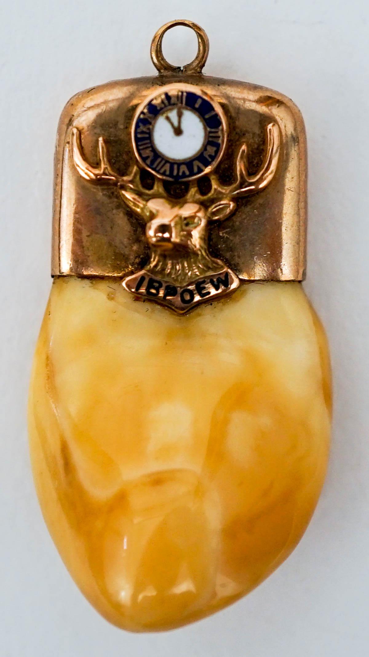 Antique BPOE Elks Tooth Pendant [10k] - Oct 13, 2022 | Grant Zahajko ...