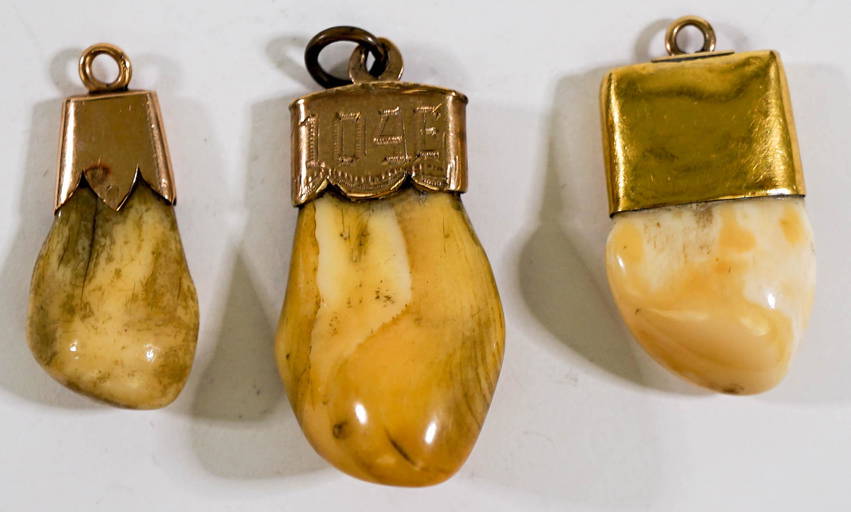 Antique (3) Bpoe Elk Tooth Pendants