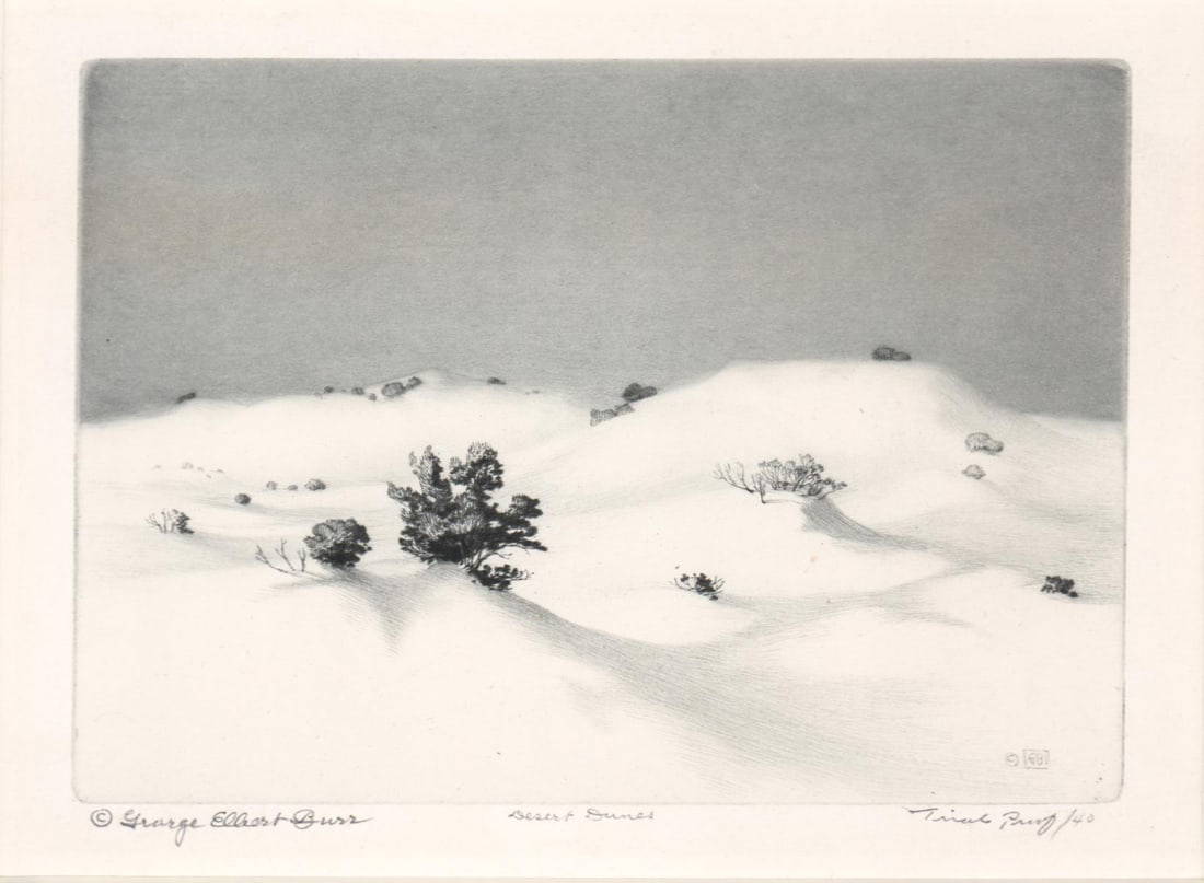 George Elbert Burr Signed Etching Desert Dunes Auction