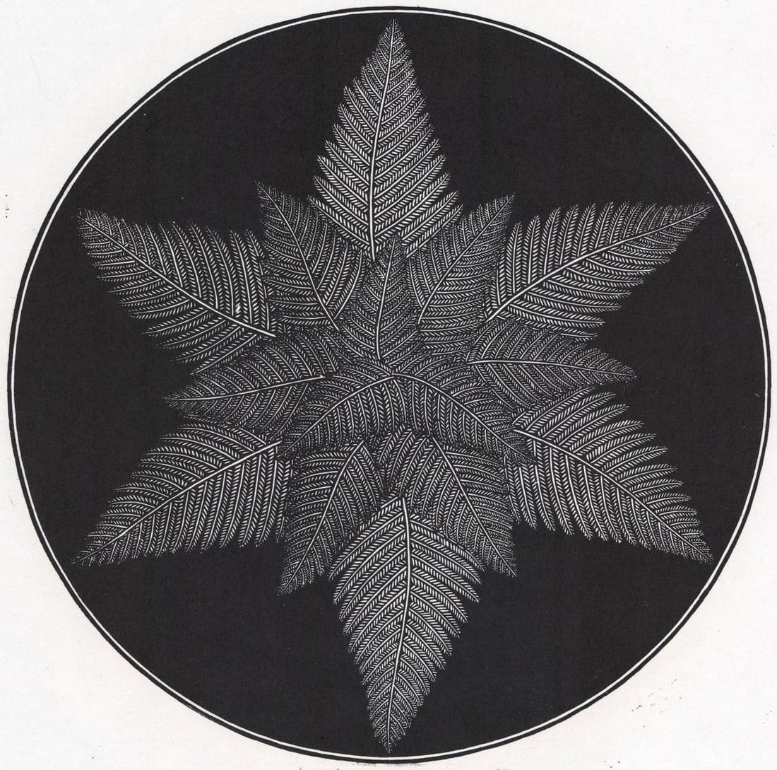 Jacques Hnizdovsky Hardy Fern 1981 Woodcut Auction