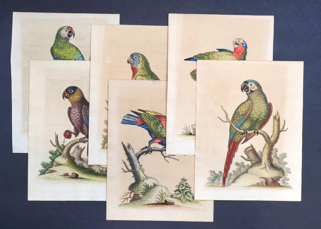 Six George Edwards Prints