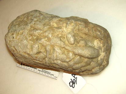 Collectible Rocks, Minerals & Fossils for Sale in Online Auctions - Page 2