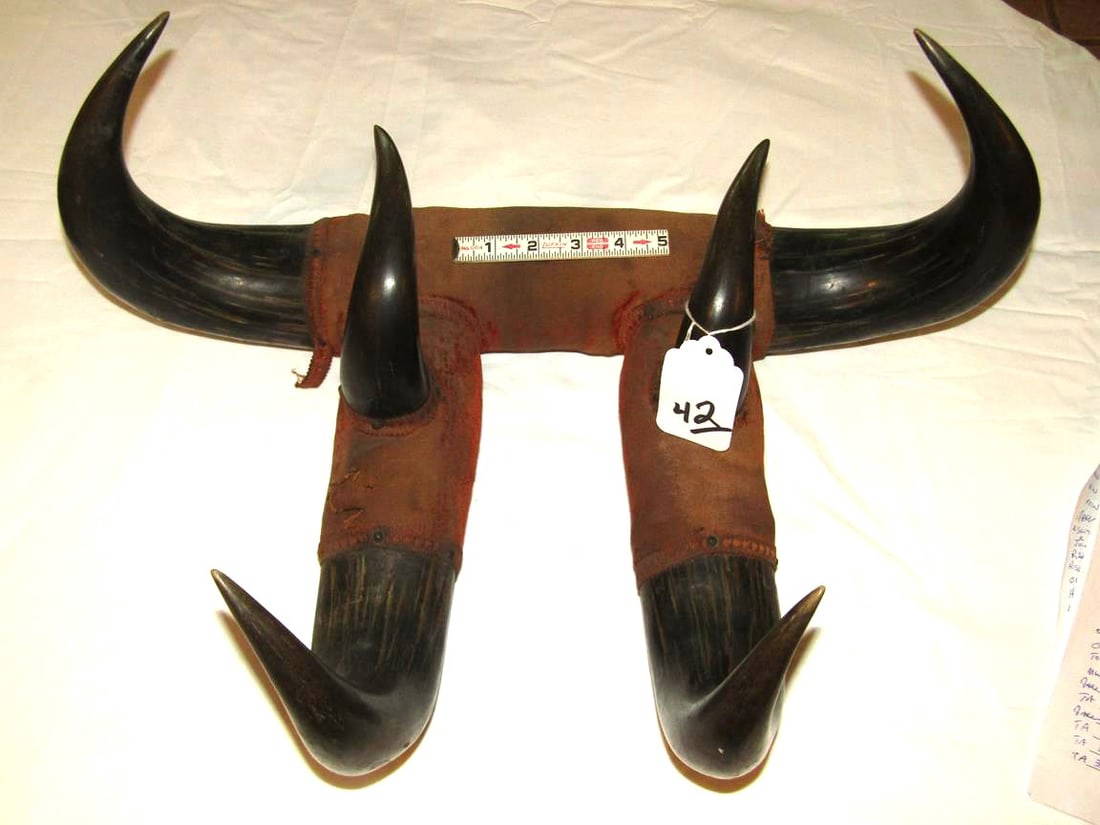 Horn Rack Auction
