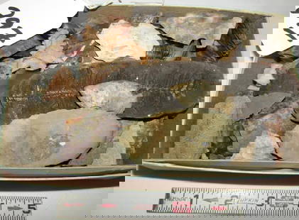 Collectible Rocks, Minerals & Fossils for Sale at Auction