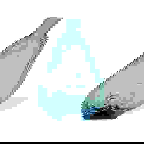 American Glass Scroll Flask, C.1845-1860. Light Cobalt Shear Top, With ...