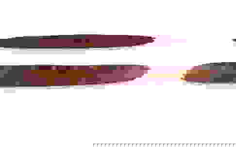 2 Central Australian Aboriginal Parrying Shields. Mid 20th C. Carved ...