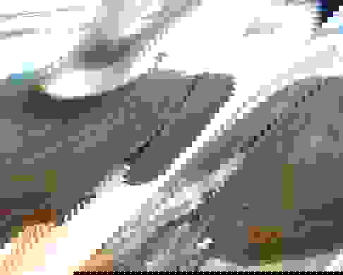 Armor Vintage Museum Level Persian Style Military Warrior Chest Plates ...