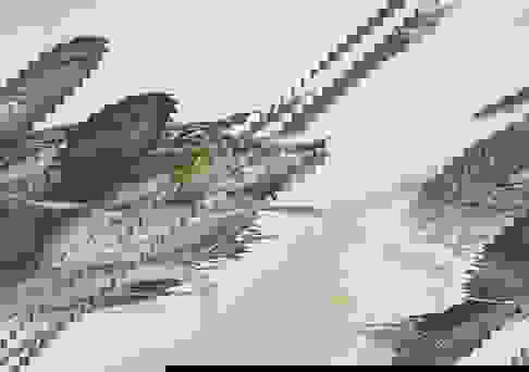 Larry Hayden, John P. Cowan, Duck Stamp & Print, Auction