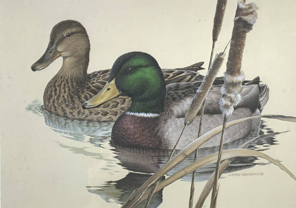 Larry Hayden, John P. Cowan, Duck Stamp & Print, Auction