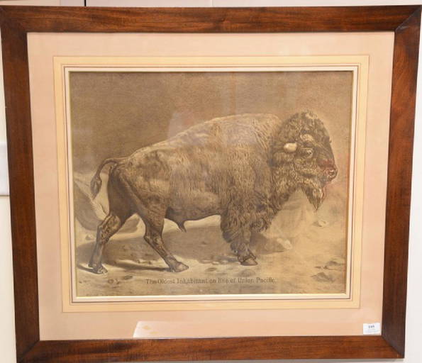 Union Pacific Lithograph Of A Buffalo "the Oldest