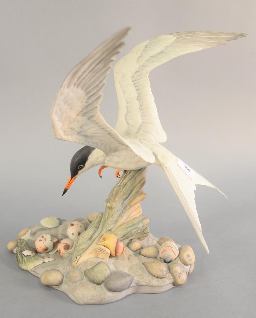 Boehm "common Tern" Porcelain Sculpture #407, Ht. 14