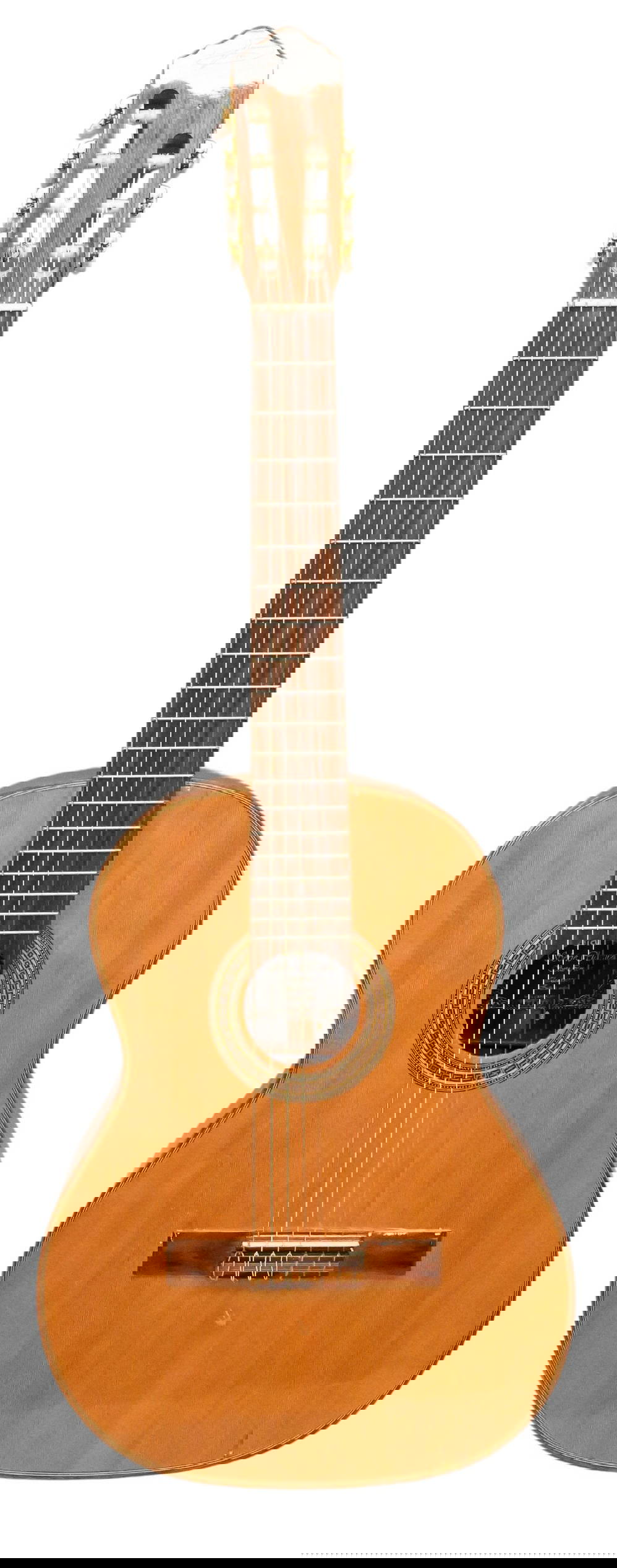 2000 Giannini Seven String Classical Acoustic Guitar Auction