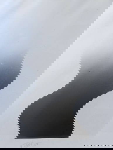 Larry Stuart Bell (american B.1939)