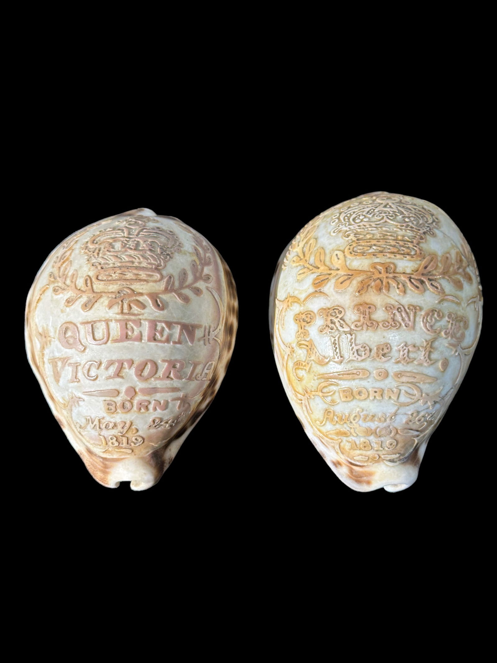Carved Victorian Cowrie Shells Auction