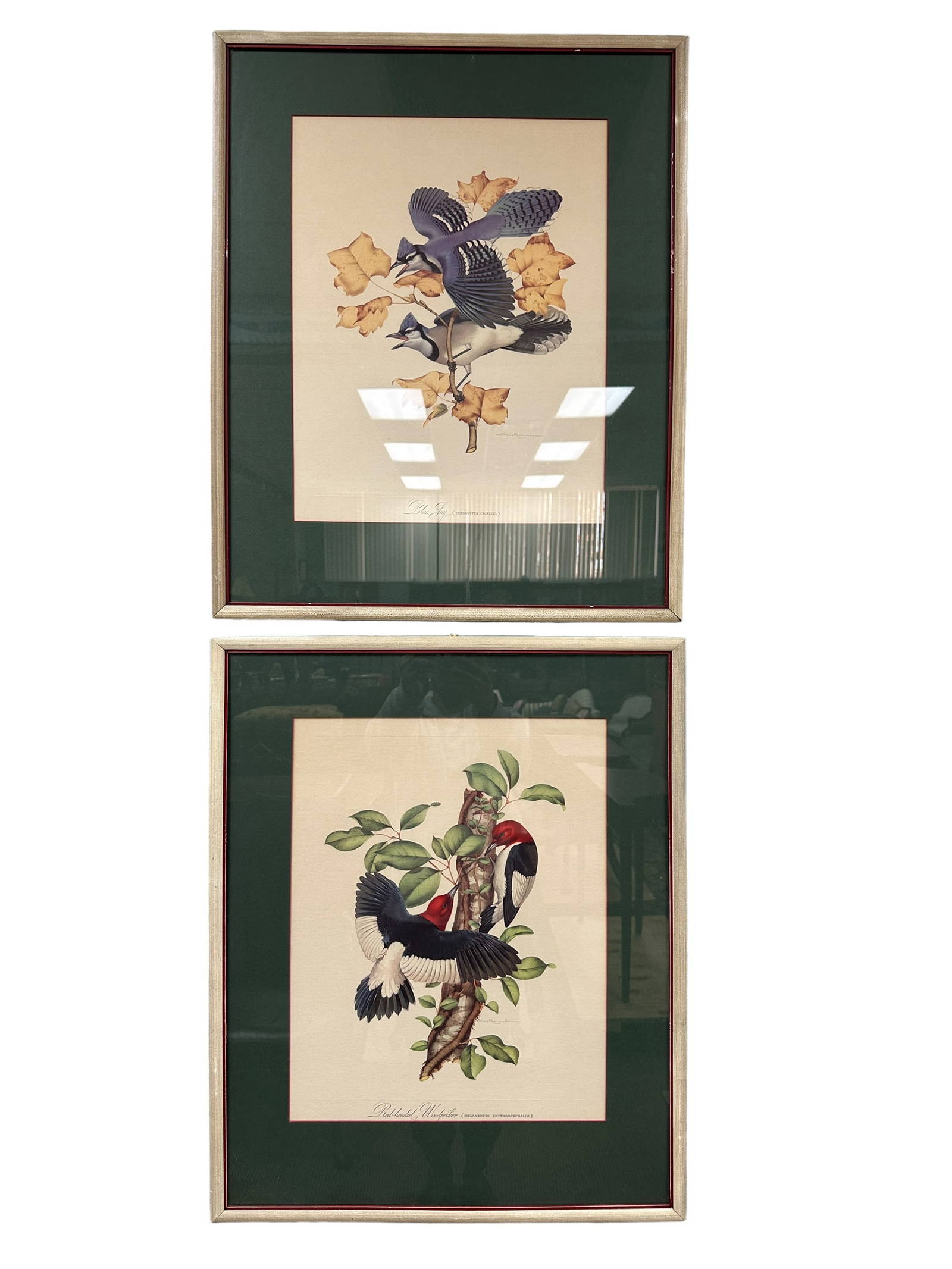 Pair Of Athos Menaboni Bird Prints Auction