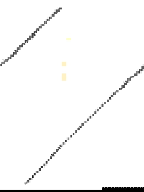 Wood Carved Snake Staff Auction