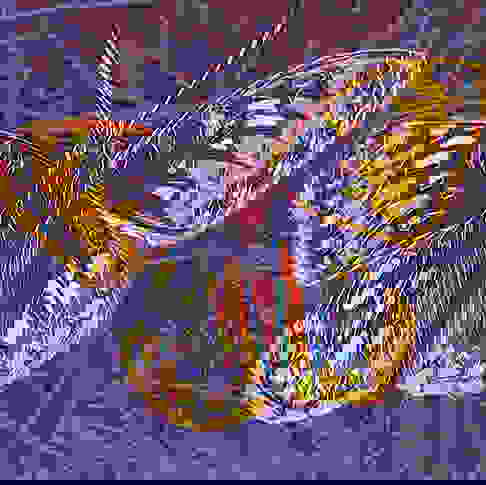 Andy Warhol Screenprint San Francisco Silverspot Butterfly From The ...