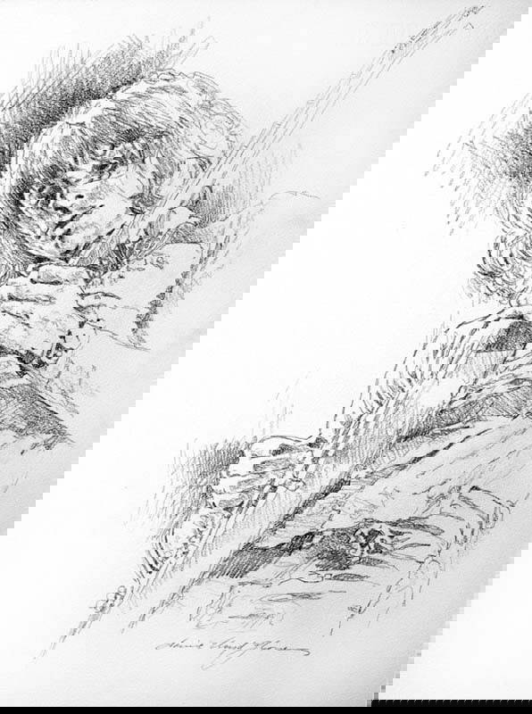 Jieff Beck Original Drawing By David Lloyd Glover Auction