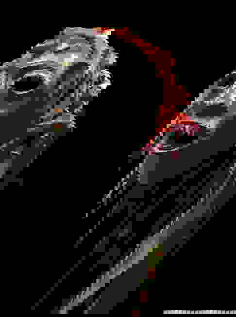 A Rare Nkoh Mask Kungan Night Society Ex Dr Thompson Collection Auction