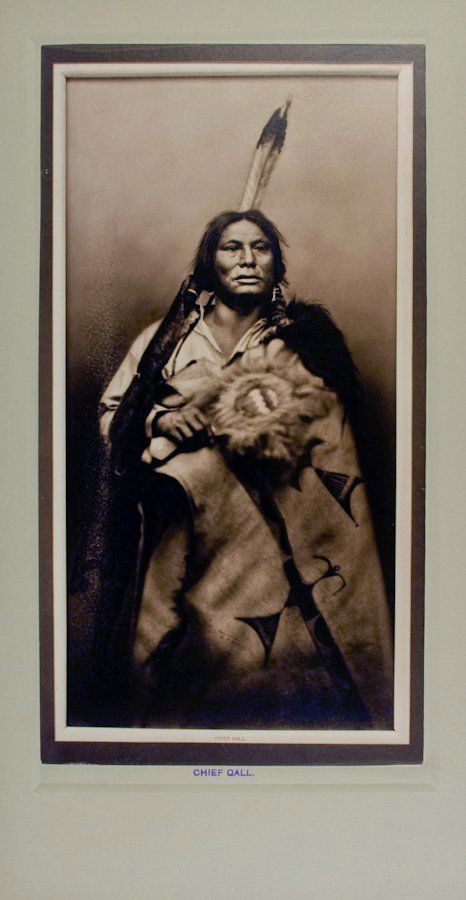CHIEF GALL (Pizi), Hunkpapa Lakota, by D. F. Barry, at