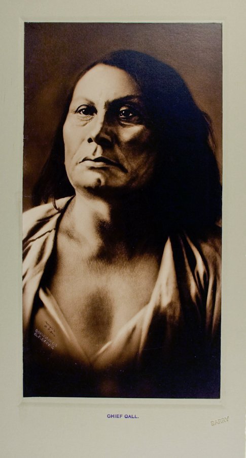 CHIEF GALL (Pizi), Hunkpapa Lakota, by D.F. Barry, at S