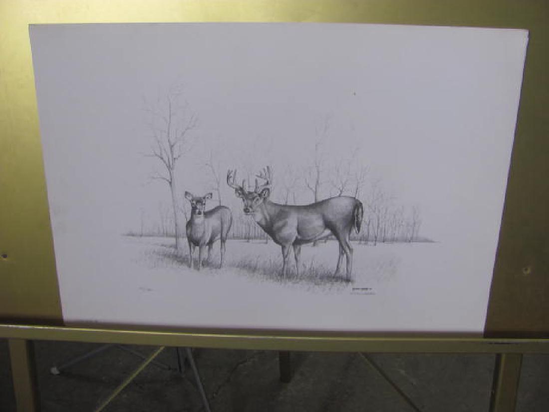 3 Glynn Moore Prints