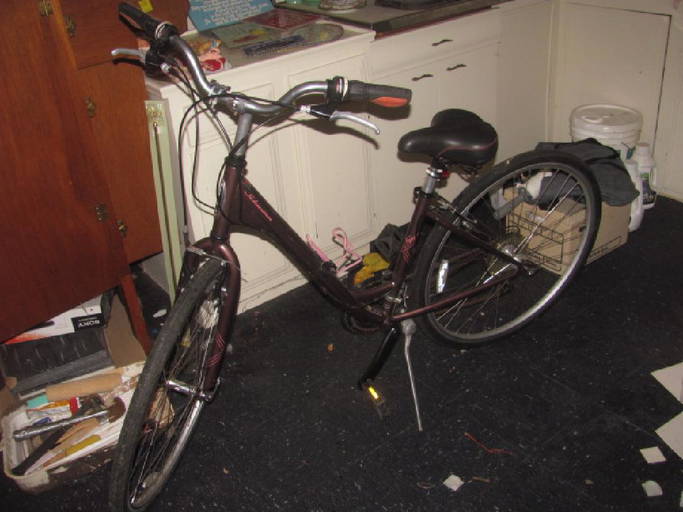 Schwinn Voyageur Ladies Bike