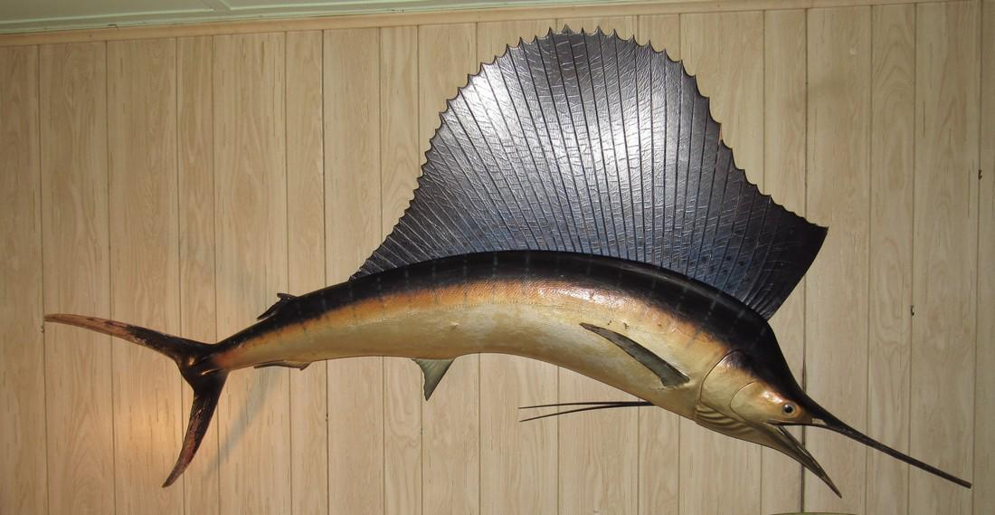 Mounted Marlin Fish