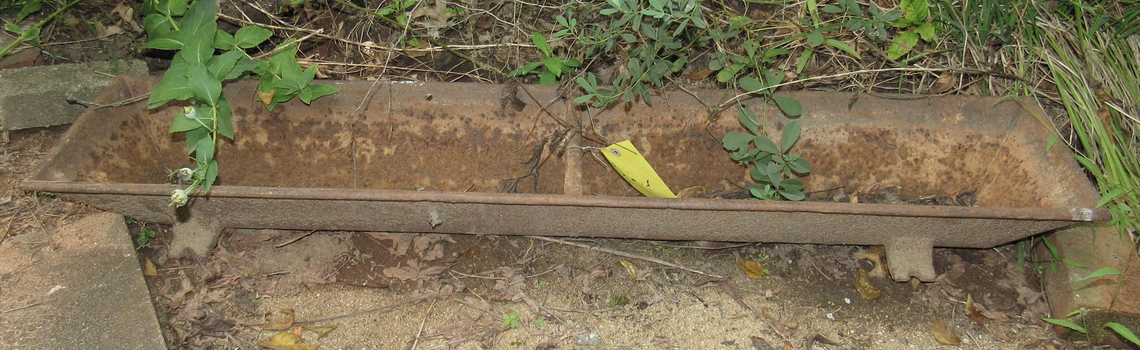 Cast Iron Hog Trough / Planter