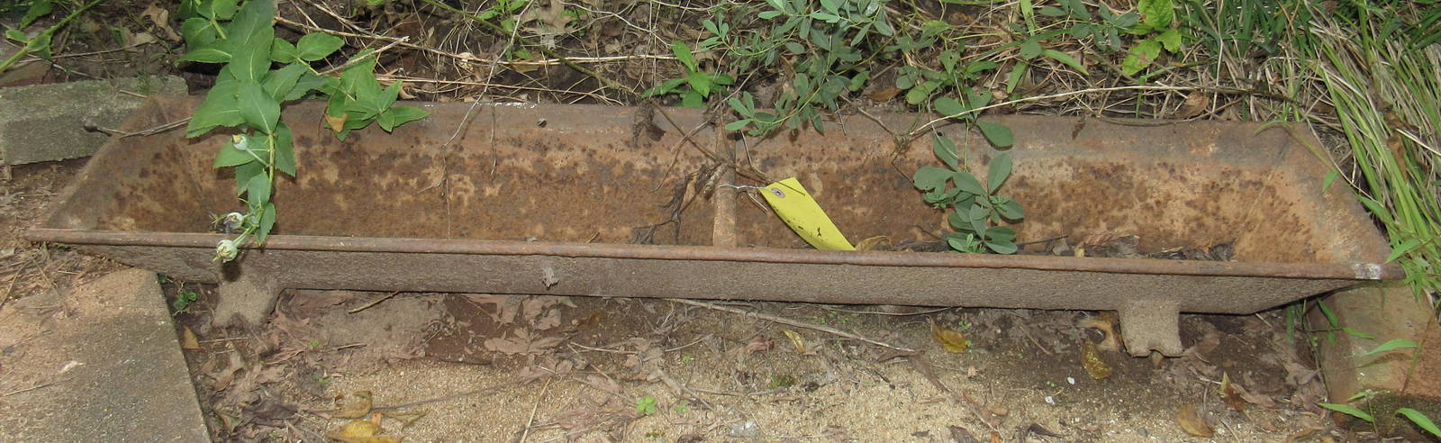 Cast Iron Hog Trough / Planter