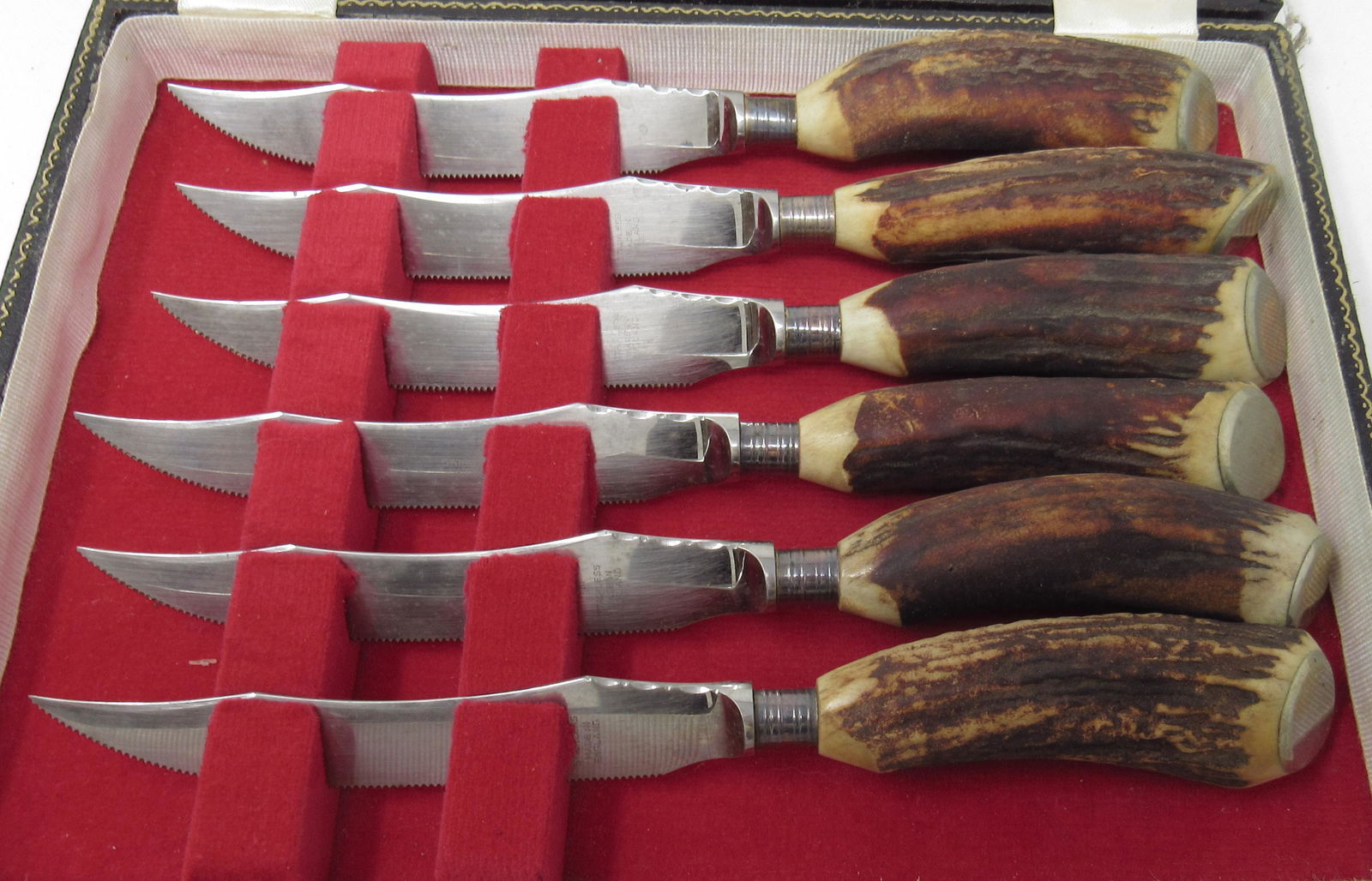 Samuel Peace Bone Handle Knives Sheffield In Box