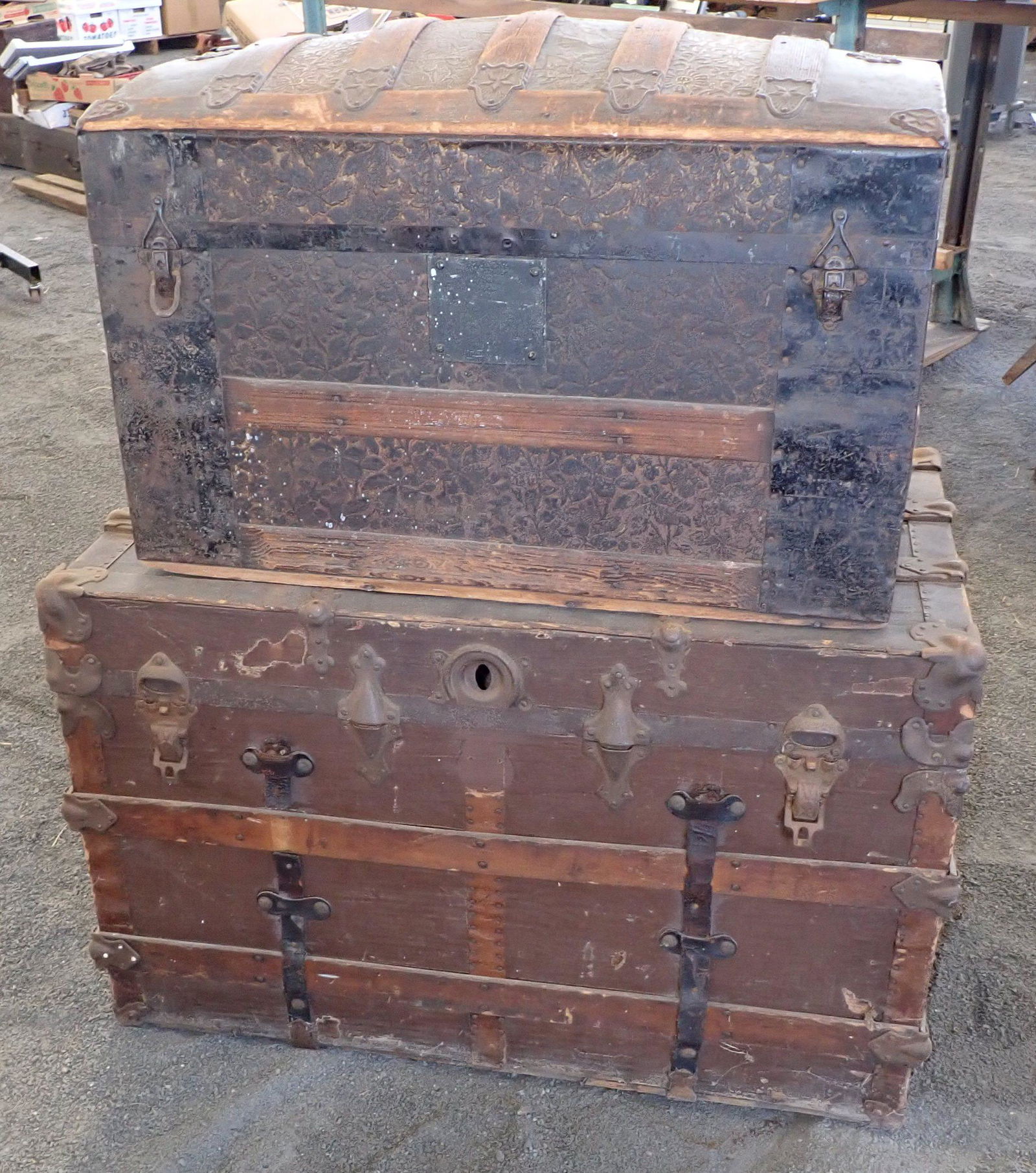 Flat Top And Camelback Trunk