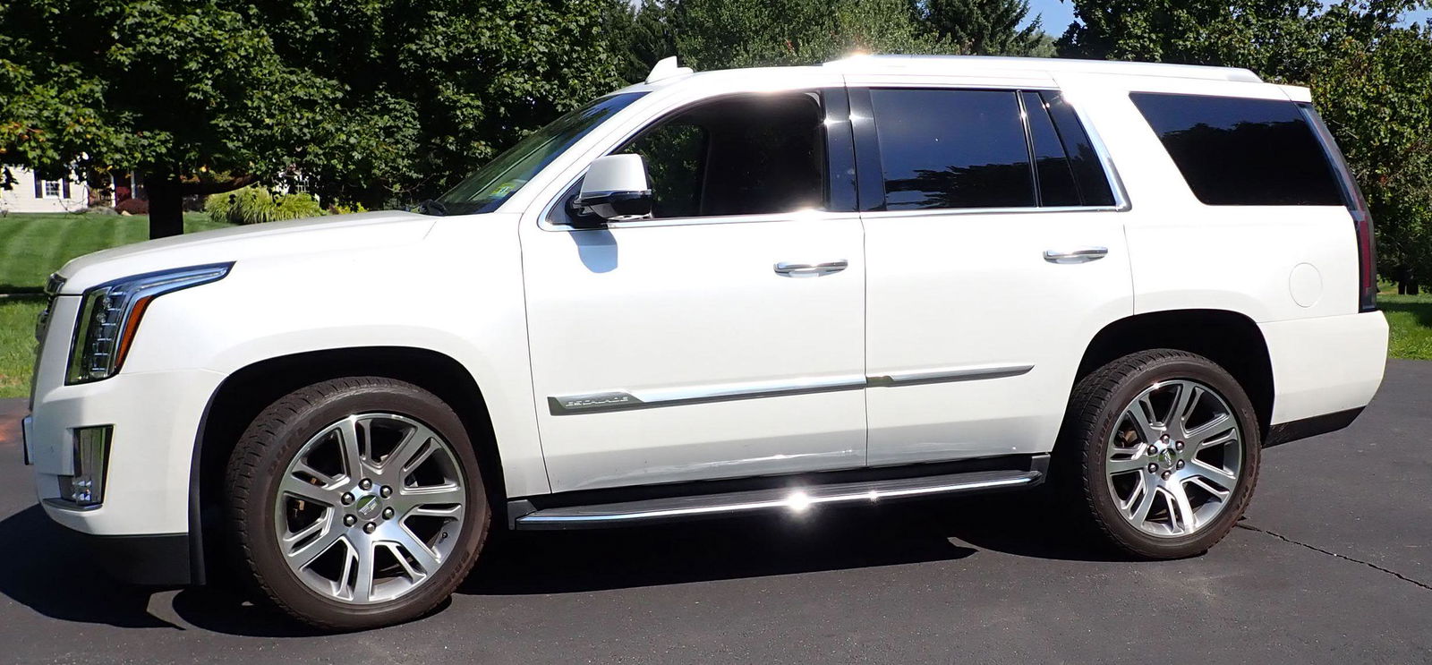 Piranha 3d Crystal Shepard (riley Steele) Bikini M