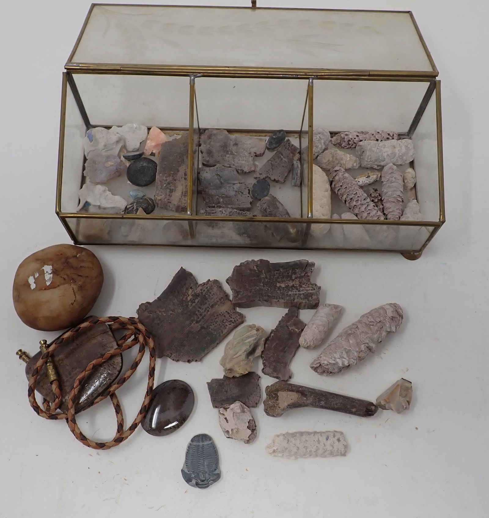 Rocks Minerals Fossils