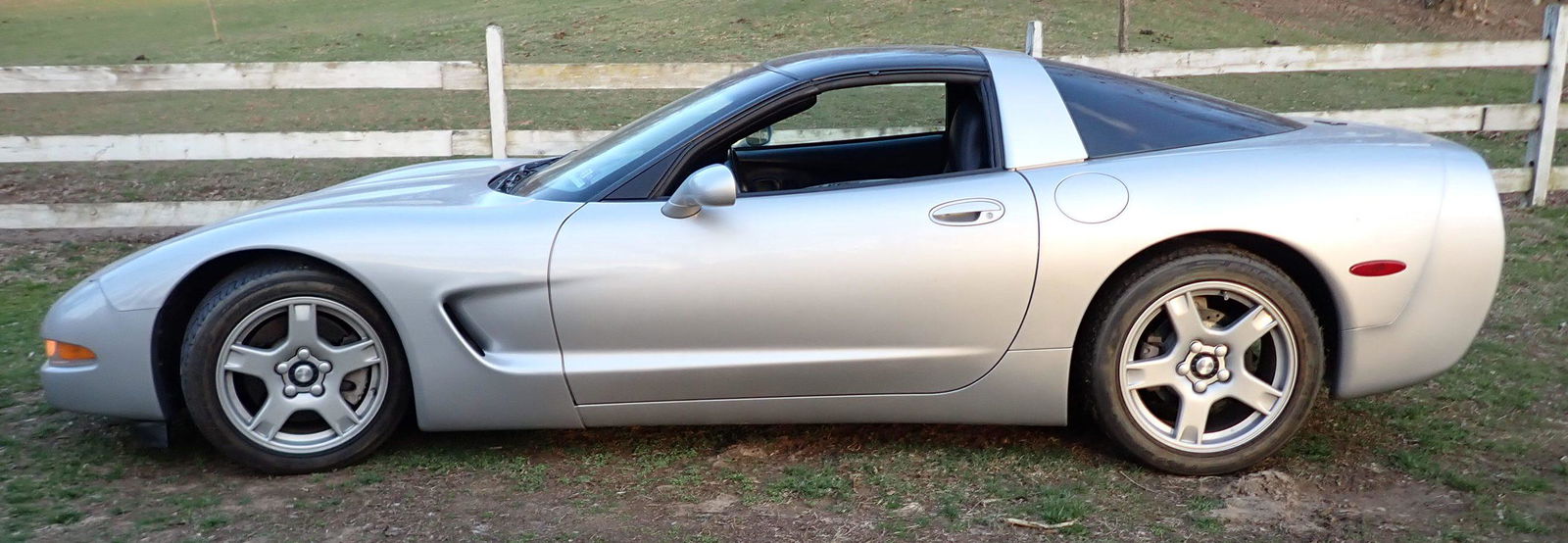 Piranha 3d Crystal Shepard (riley Steele) Bikini M