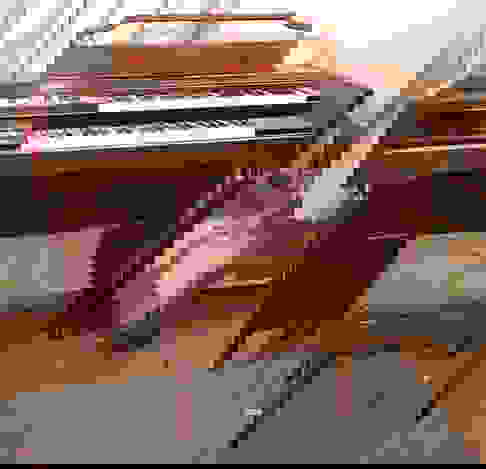 Vintage Organ & Bench Auction