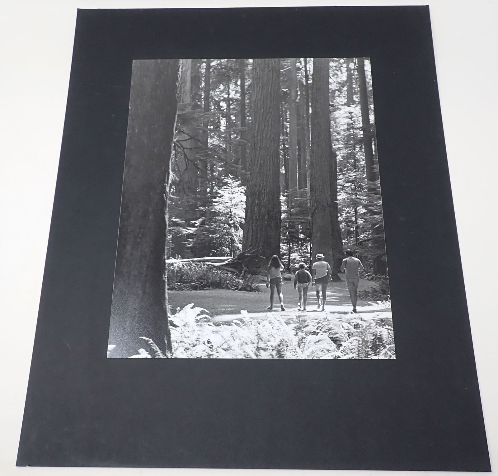 15 Edward Fry Photographs