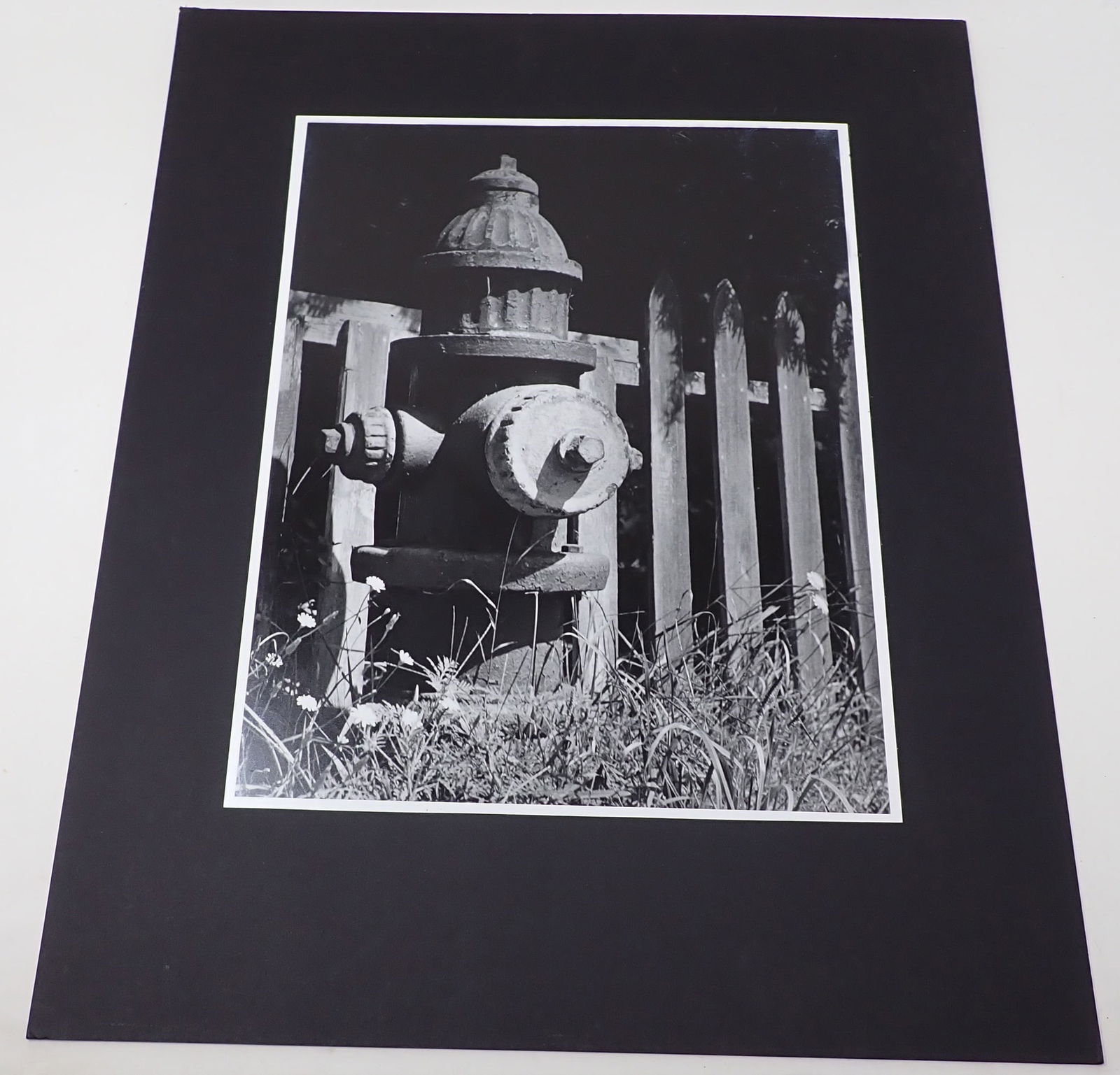 16 Edward Fry Photographs