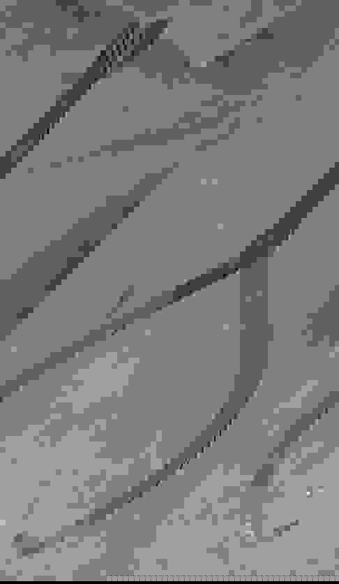 Large Ice Hook Auction