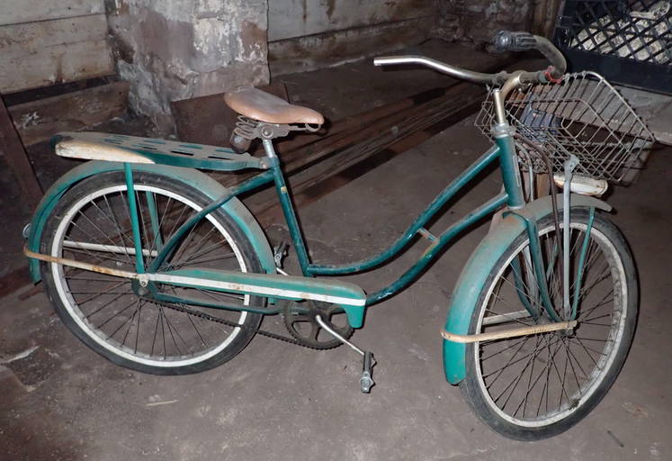 Jc Higgins Girls Bike