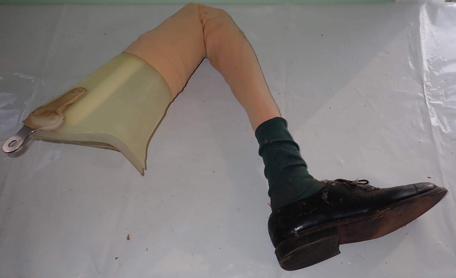 Prostetic Leg Auction