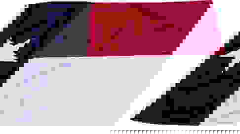 Texas Lone Star Flag Auction