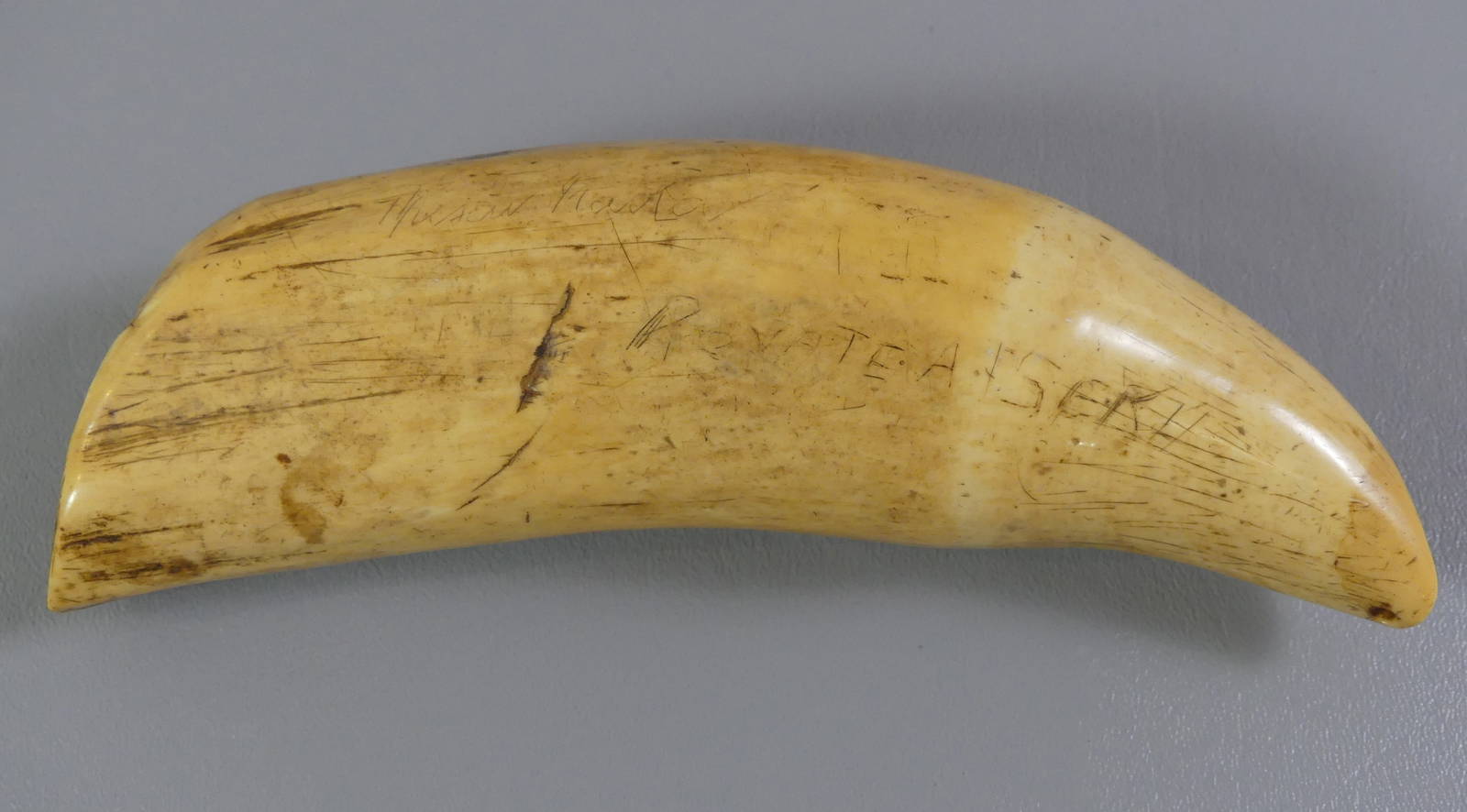 Antique Tambua Whale Tooth Auction